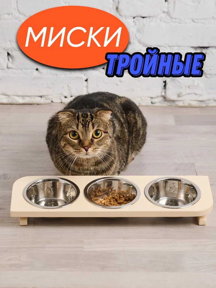 Тройная миска для кошек и собак мелких пород, на подставке с наклоном, объем 150 мл, слоновая кость