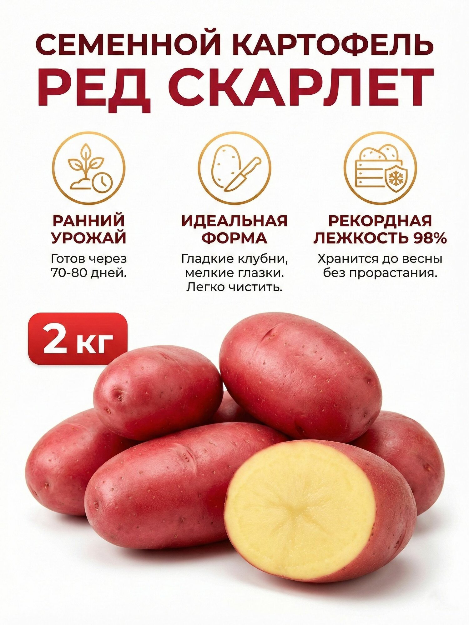 Картофель семенной Ред Скарлет 2 кг клубни на посадку ранний скороспелый сорт для жарки, салатов, супов