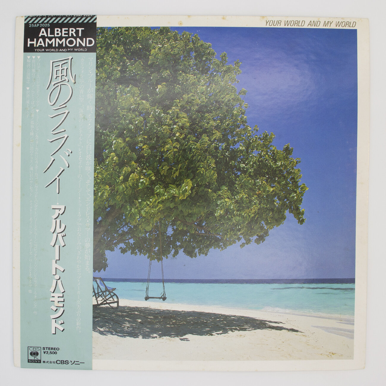 Виниловая пластинка Albert Hammond - Your World And My World, 1xLP, NM