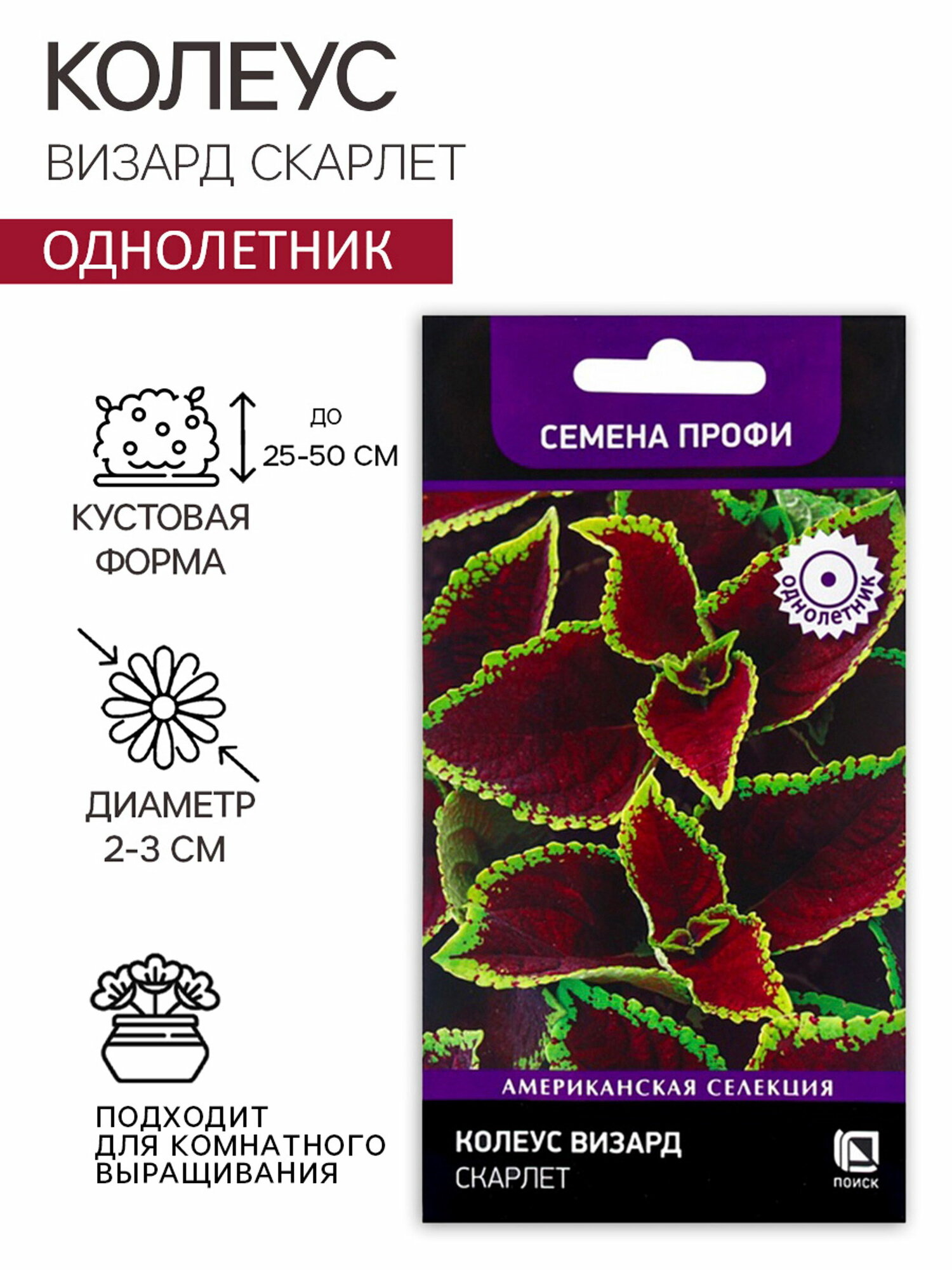Семена цветов Колеус Визард Скарлет, 10шт, цветение период: август