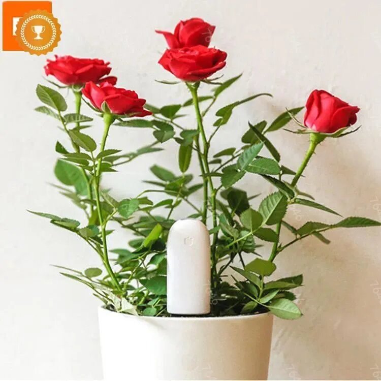 Умный сад Xiaomi Mi Flower Care - Датчик влажности почвы для растений, белый — фото 1