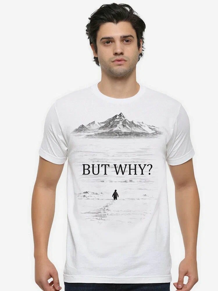 Футболка Dream Shirts Одинокий Пингвин / But Why / Мужская