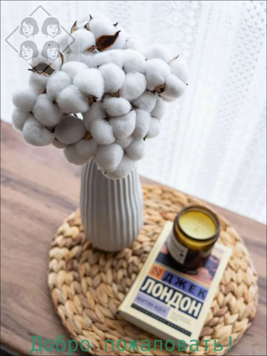 Сухоцветы Хлопок, 35 см, 20 шт