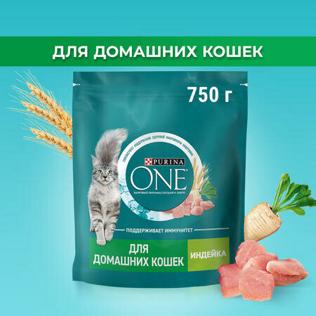 Purina ONE 2 шт по 750 г сухой корм для взрослых кошек, живущих в домашних условиях, с высоким содержанием индейки и цельными злаками