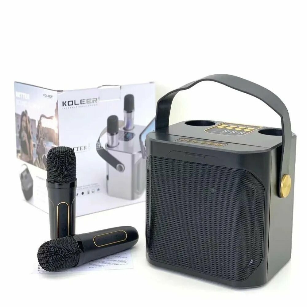 Портативная Bluetooth-колонка для караоке на природе с сабвуфером и беспроводными микрофонами (комплект "Домашний KTV")
