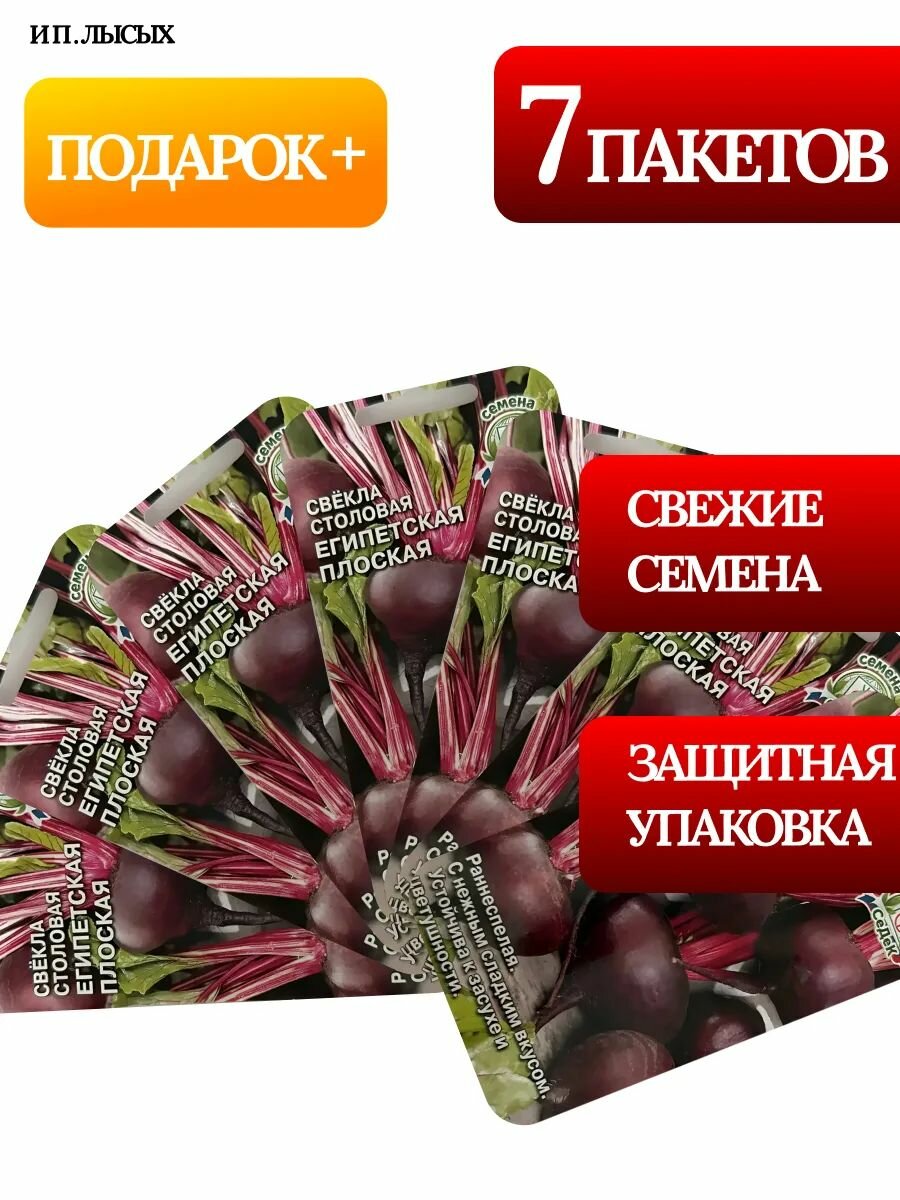 Семена Свекла "Египетская"