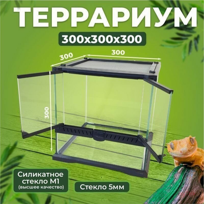 Террариум