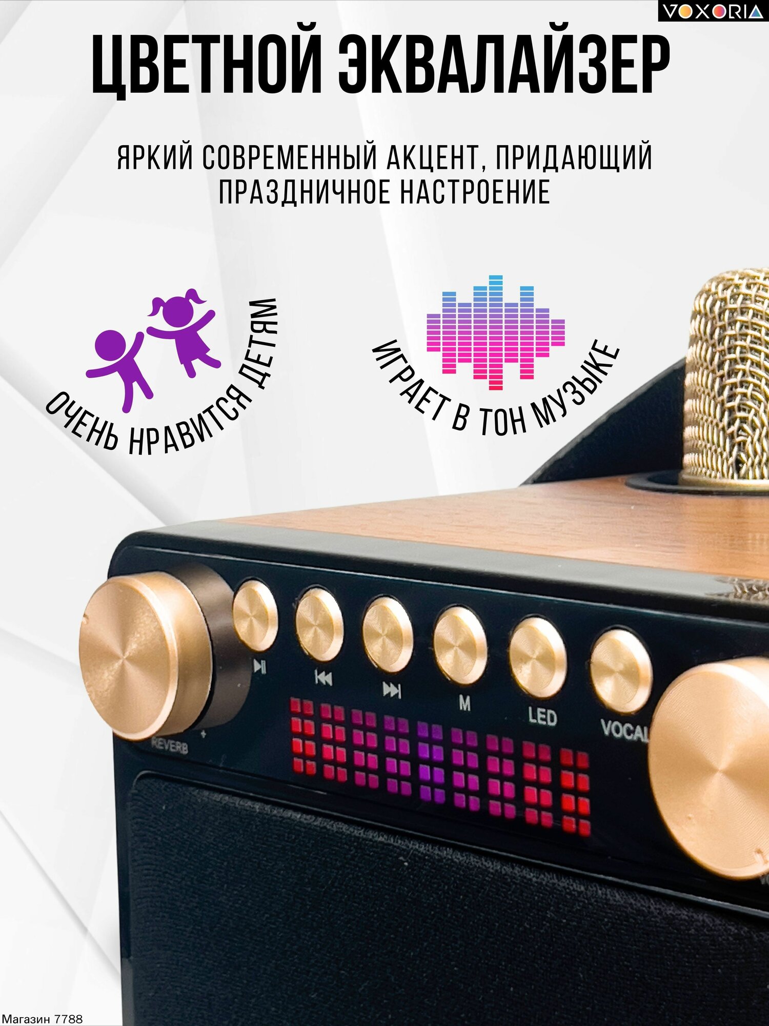 Караоке-система — фото 1