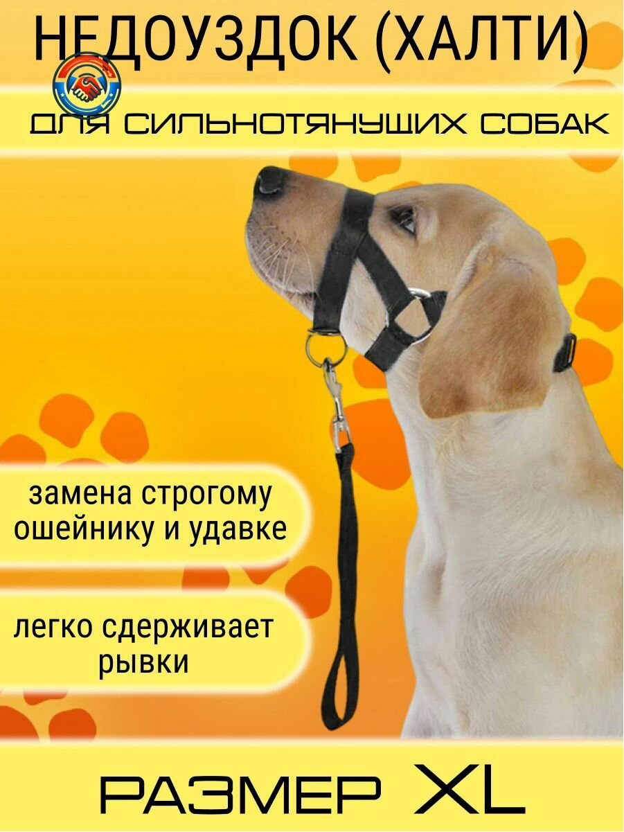 Намордник Халти, недоуздок-тренажер 3 в 1, мягкий поводок-контроллер для дрессировки и прогулок собак всех пород