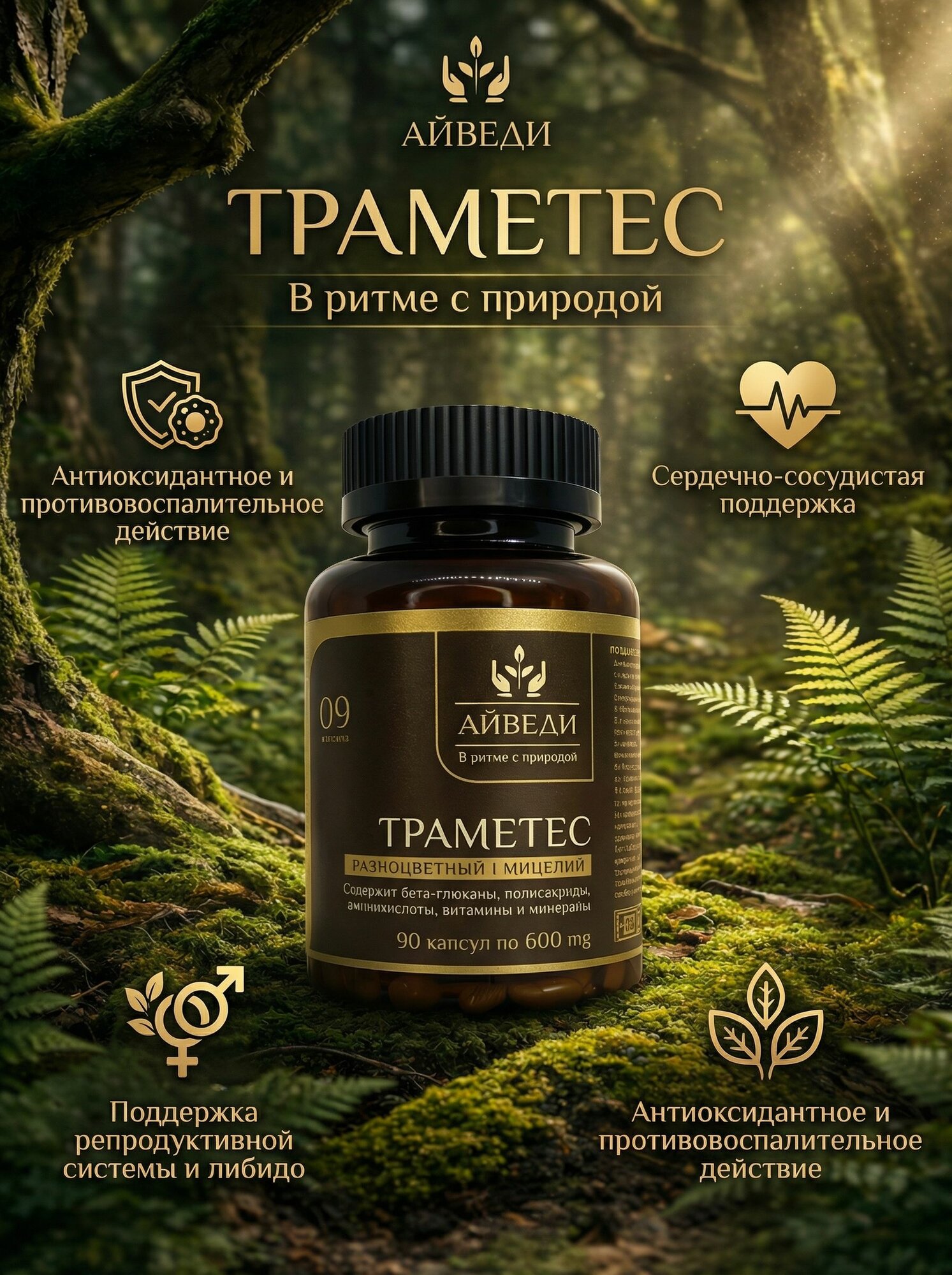 Траметес разноцветный мицелий (90 капсул по 600мг)