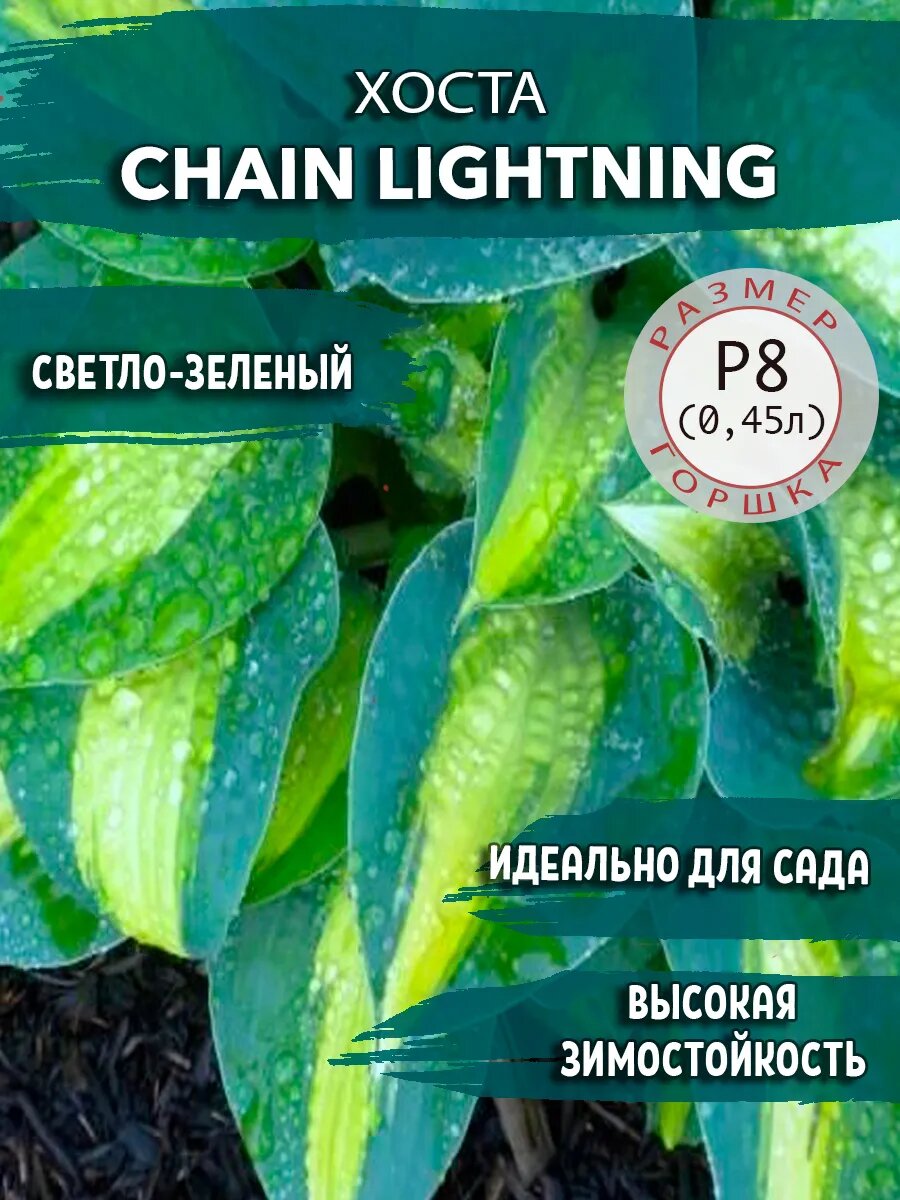 Хоста Chain Lightning