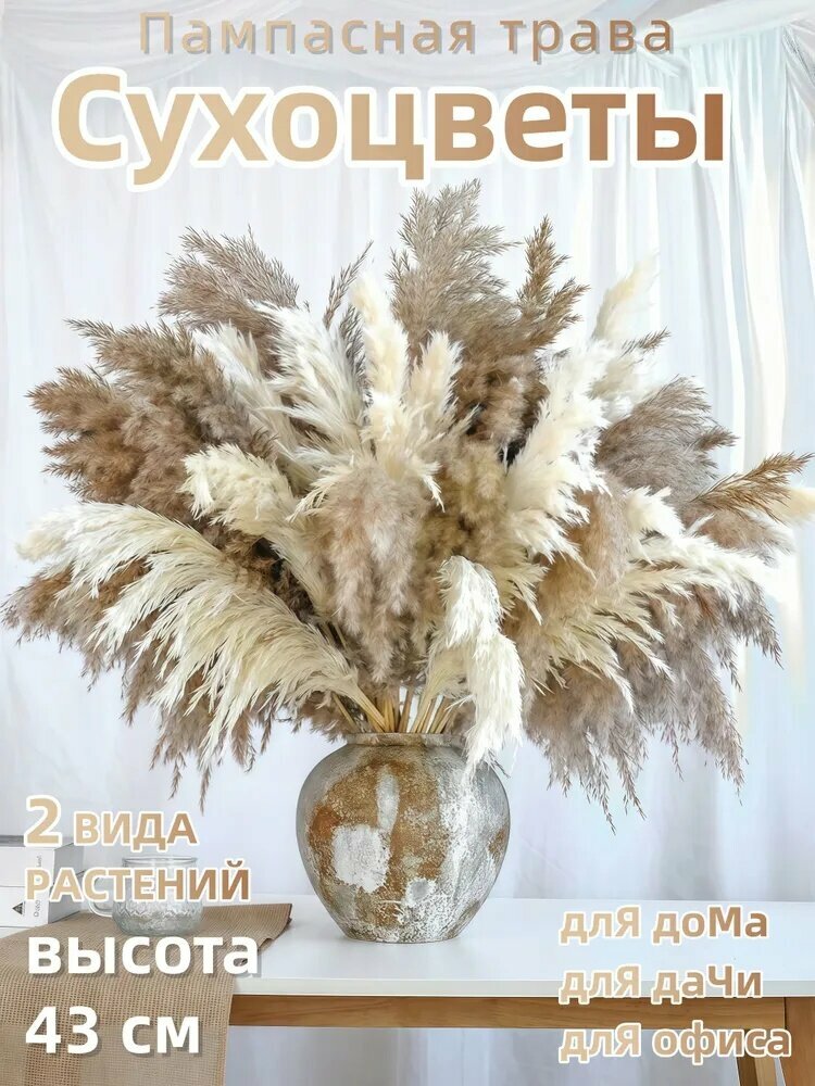 Сухоцветы Пампасная трава, 43 см, 160 гр, 1 шт