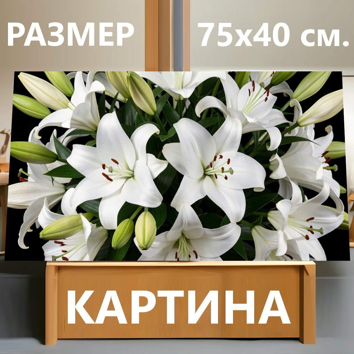 Картина на холсте "Белые лилии на черном фоне. Изящная цветочная композиция с крупными белоснежными лепестками и зелеными бутонами на темном." на подрамнике 75х40 см. для интерьера