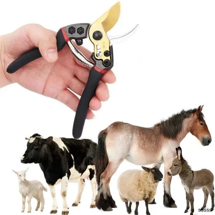 Козы, овцы, инструменты для обрезки копыт, животные, инструменты для обрезки ногтей на ногах
