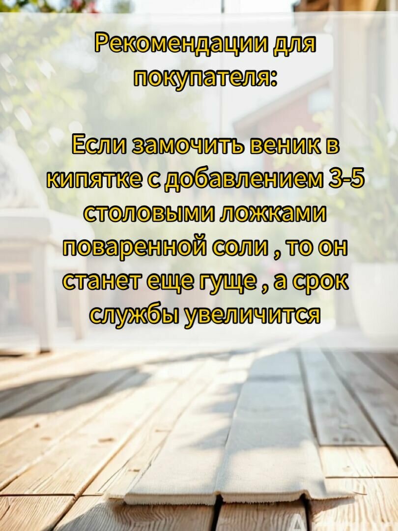 Веник Чистюля — фото 1