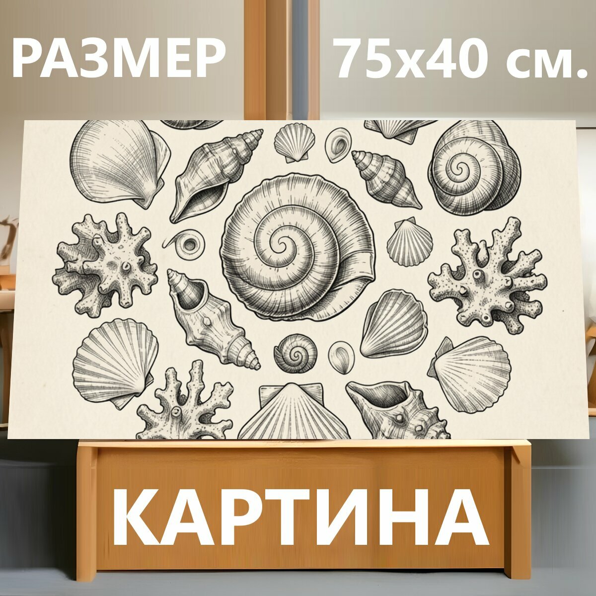 Картина на холсте "Морские ракушки в винтажной композиции. Графическая композиция из разнообразных морских створок, спиральных моллюсков и." на подрамнике 75х40 см. для интерьера
