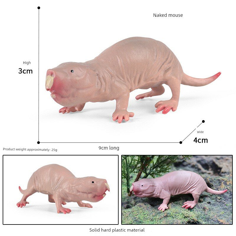 Реалистичная фальшивая фигурка Голого крота, маленькая модель зверя для интерьера, коллекционная фигурка