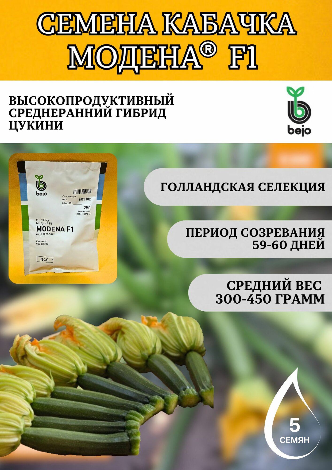 Кабачок Модена F1 5 семян Bejo , профессиональные семена для огорода