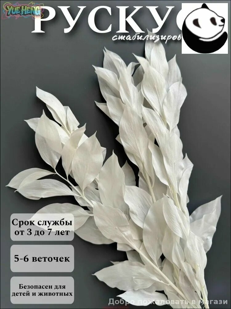 Стабилизированные цветы Рускус, 60 см, 1 шт