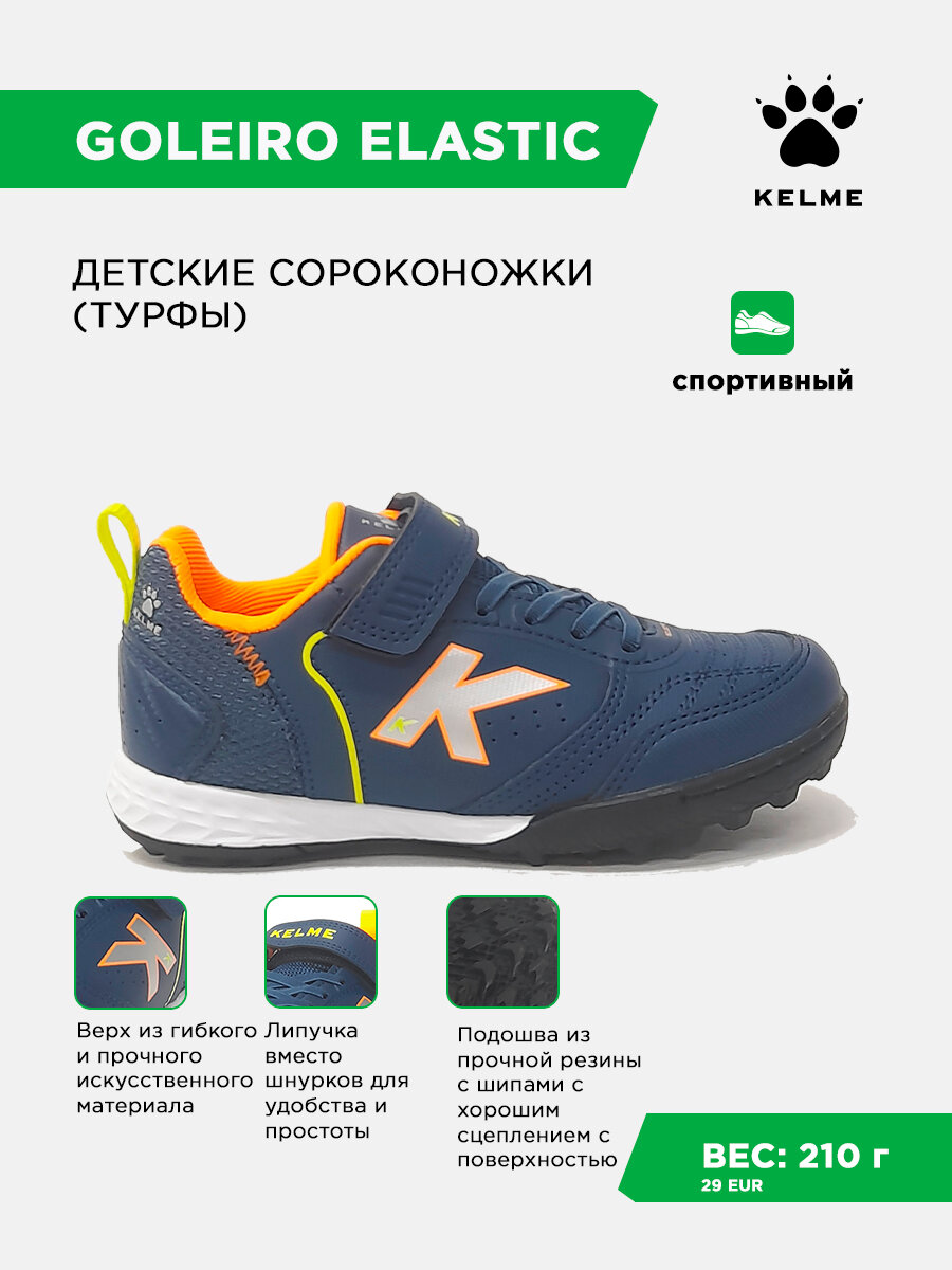 Сороконожки