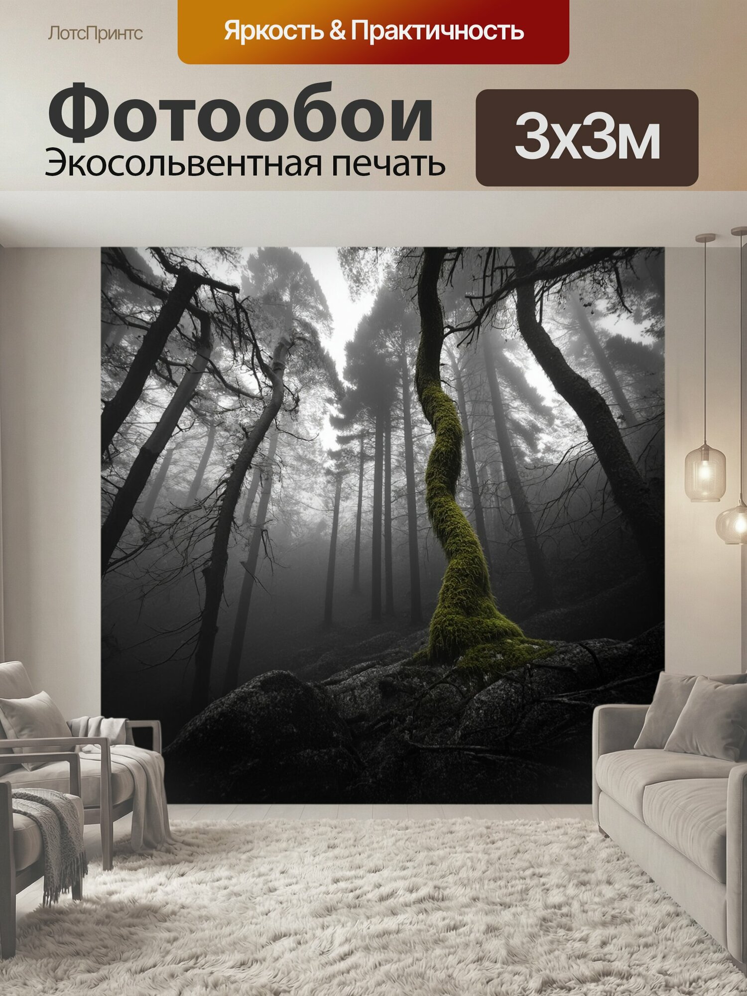 Фотообои "Черно-белая фотография леса в тумане, деревья с искривленными стволами и ветками, покрытые мхом" 300x300 см. экосольвентная печать