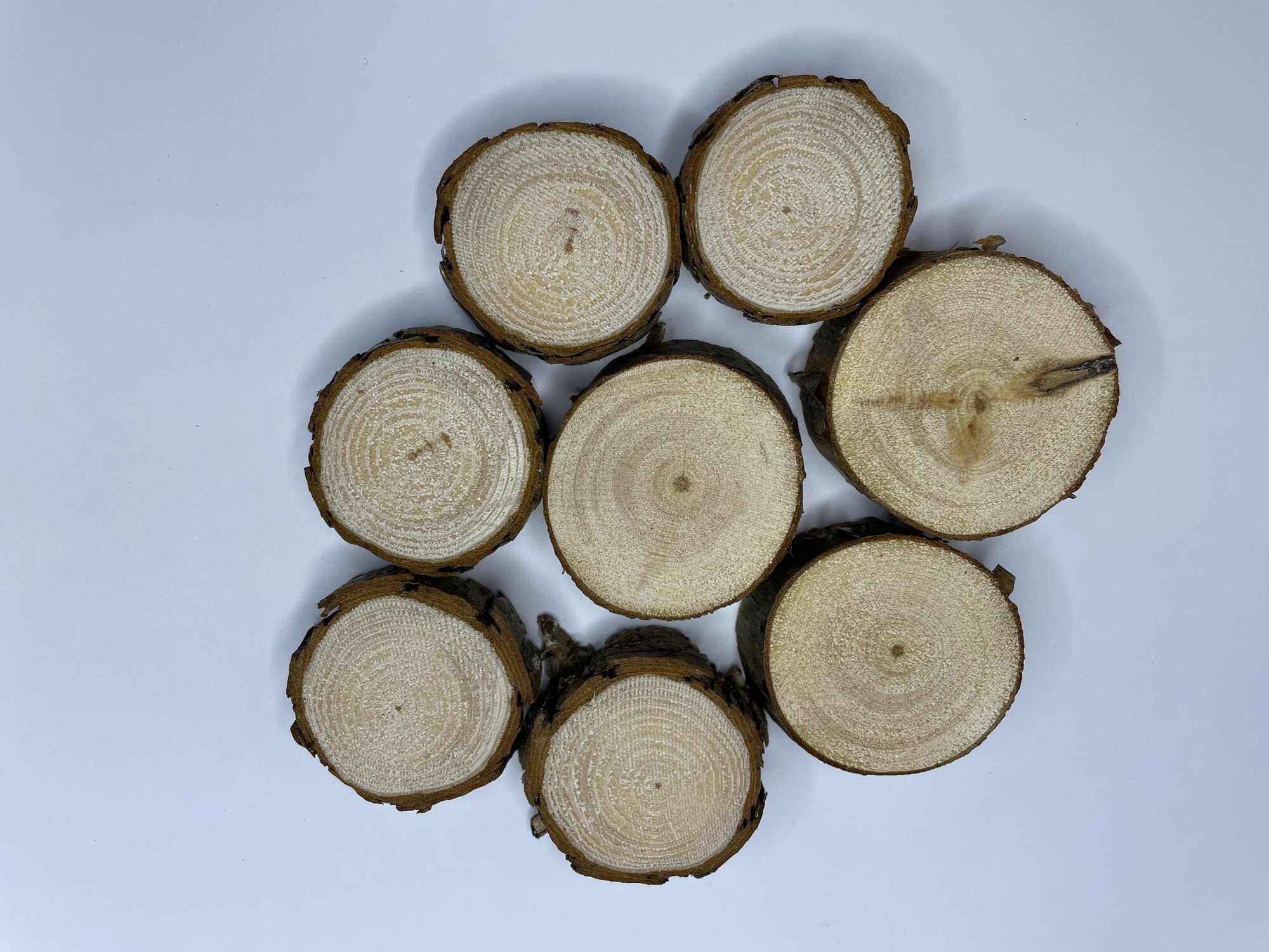 Спилы дерева, заготовка для творчества