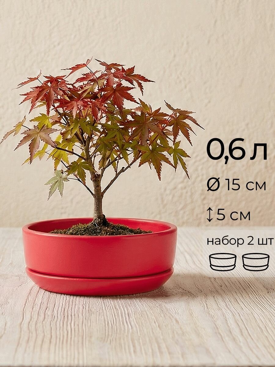 Бонсайница Горшок керамический для бонсай, кактусов и суккулентов Плошка для цветов круглая красный 0.6л набор 2 шт