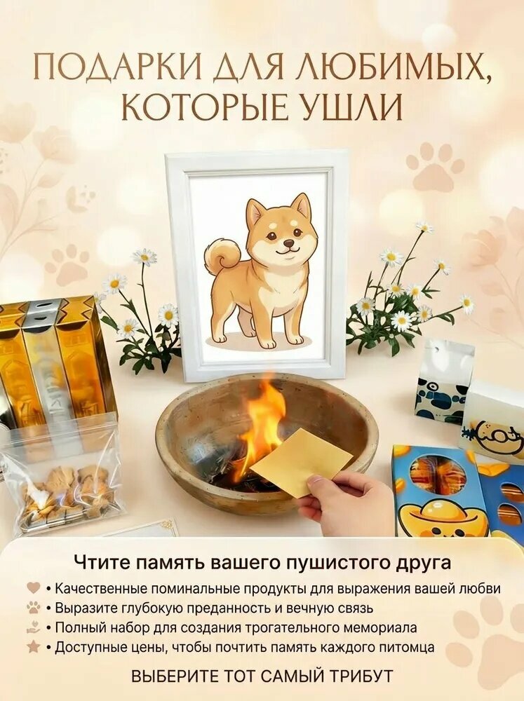 Кошки и собаки, специальные принадлежности для жертвоприношений для домашних животных-Пакет услуг для длительного сна, о котором мечтала моя детская мечта