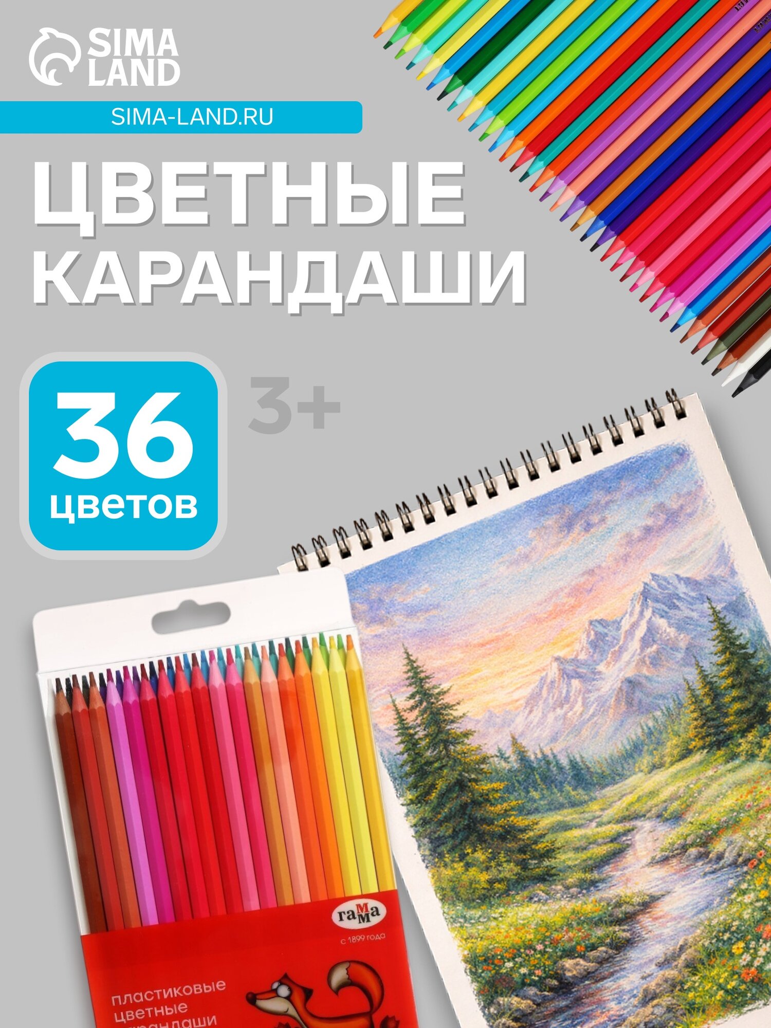 Карандаши цветные пластиковые 36 цветов «Гамма. Мультики», заточенные, ПВХ, европодвес (251220214)
