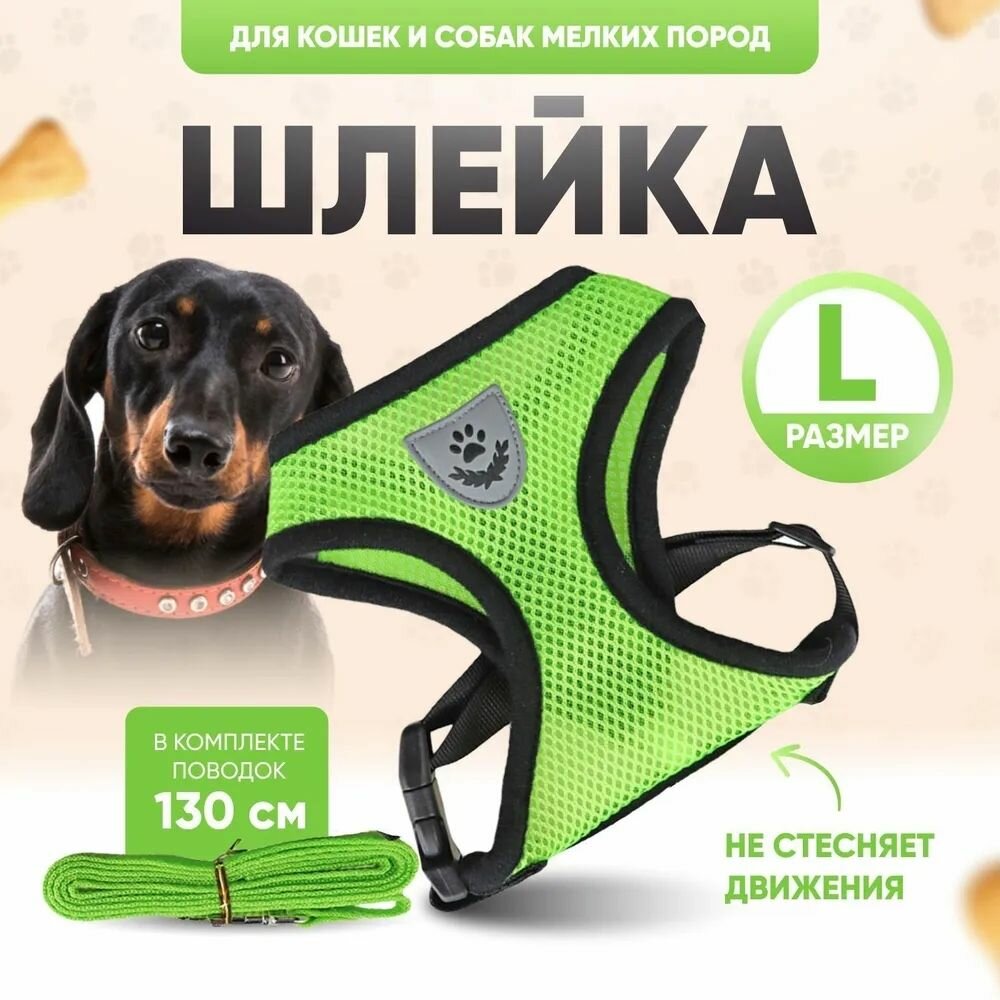 Шлейка для кошек и собак с поводком длиной 1.2М, Дышащая светоотражающая шлейка для собак