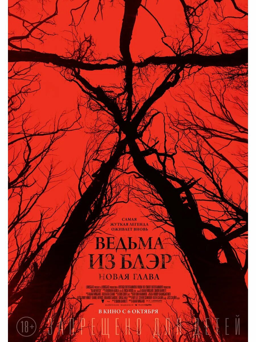 Ведьма из Блэр: Новая глава (2016) (DVD-R)