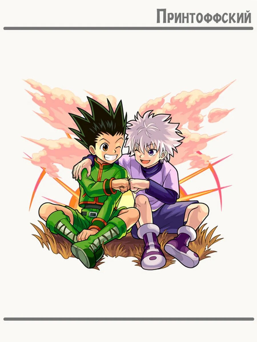 Термонаклейка для одежды и аксессуаров DTF-печать hunter x hunter Гон и Киллуа