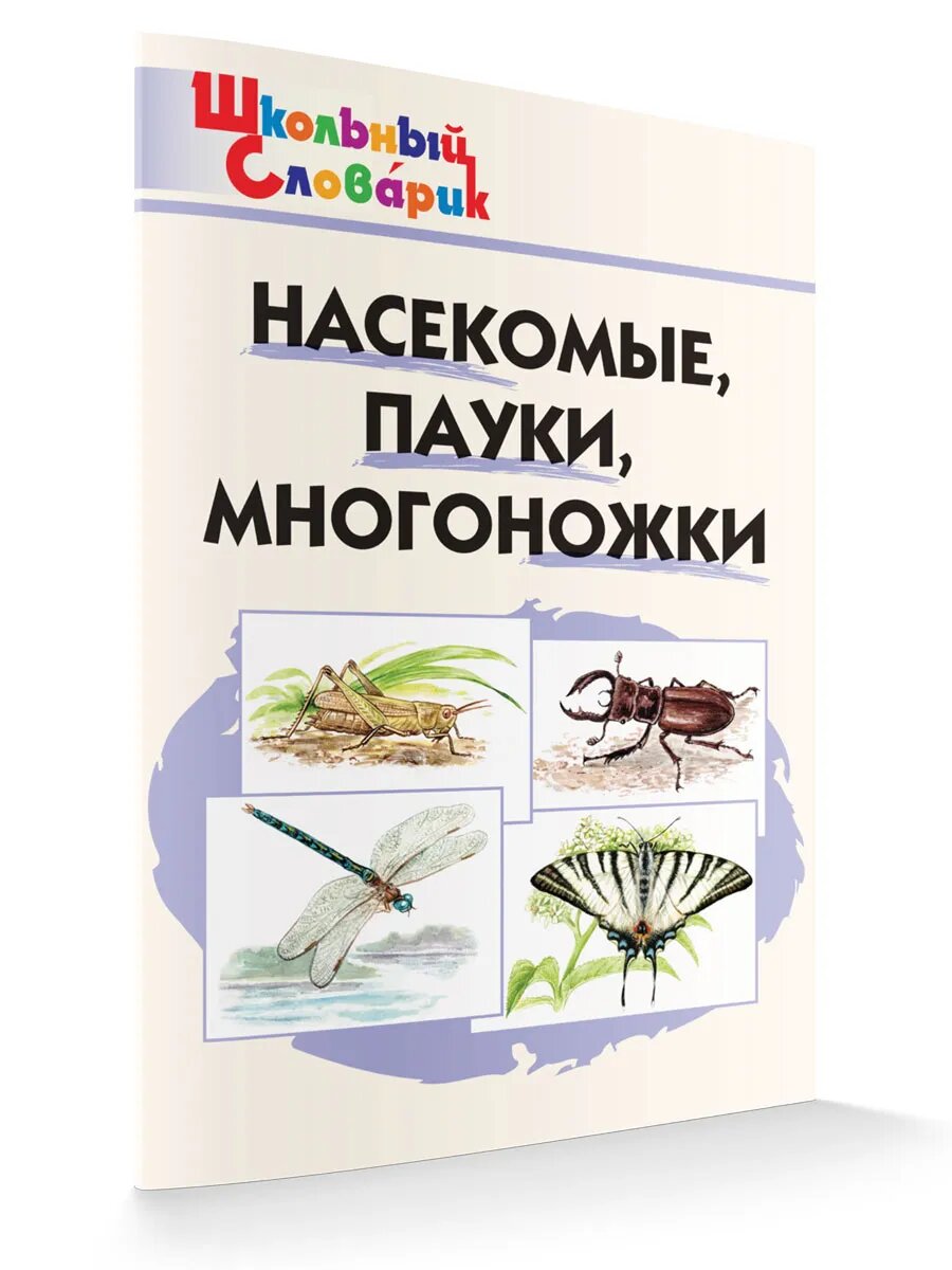 Школьный словарик. Насекомые, пауки, многоножки.
