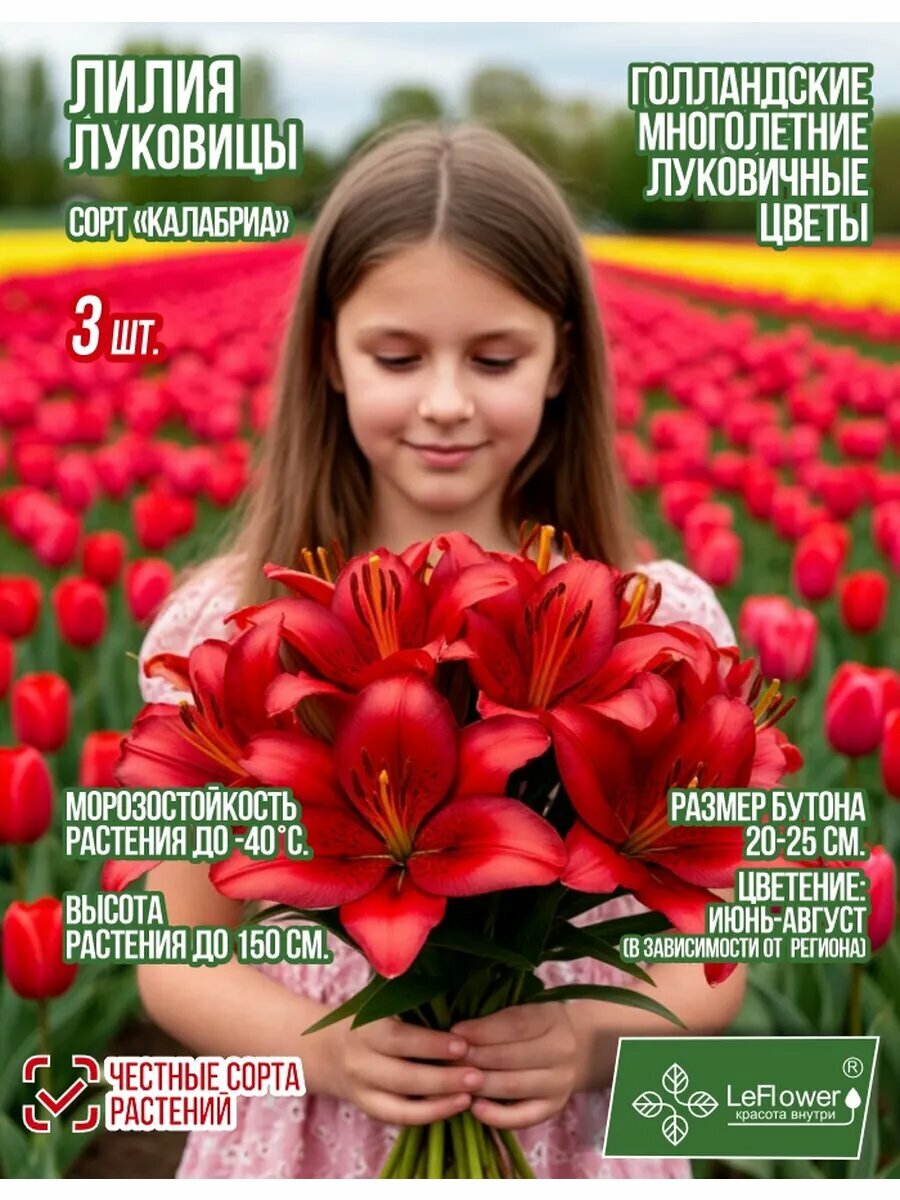 Лилия Луковица, Калабриа, ЛА-гибрид, 3 шт