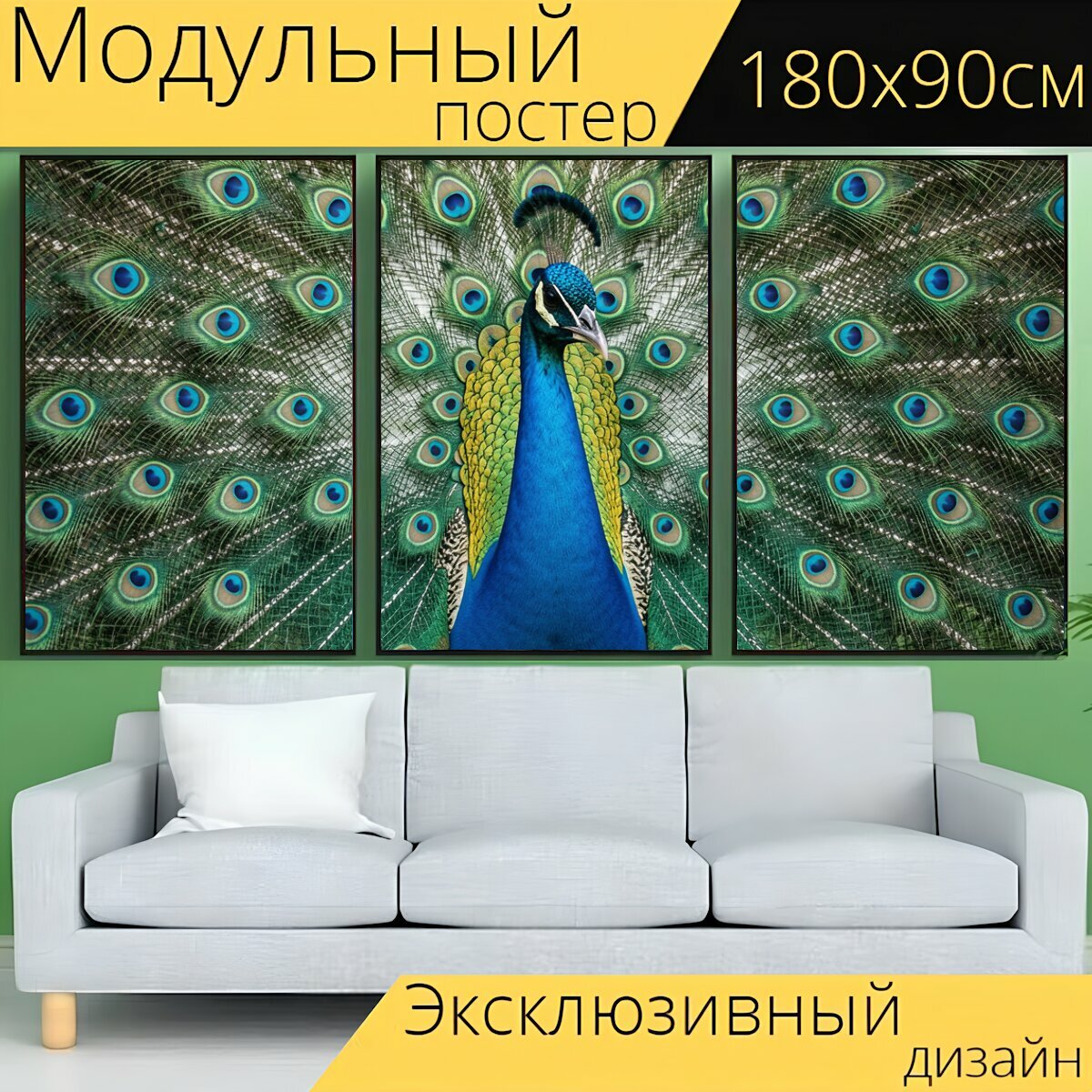 Модульный постер "Павлин с распущенным хвостом. Яркий экзотический птиц в центре кадра с веерообразным оперением, изумрудно-синие и." 180 x 90 см. для интерьера на стену в тубусе