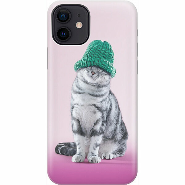 Силиконовый чехол на Apple iPhone 12 / 12 Pro / Эпл Айфон 12 / 12 Про с рисунком "Кот в зеленой шапке"