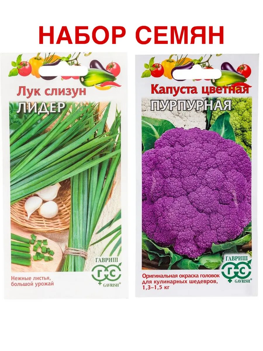 Набор семян Гавриш две упаковки: Лук Лидер 0.5г и капуста Пурпурная 0.2г