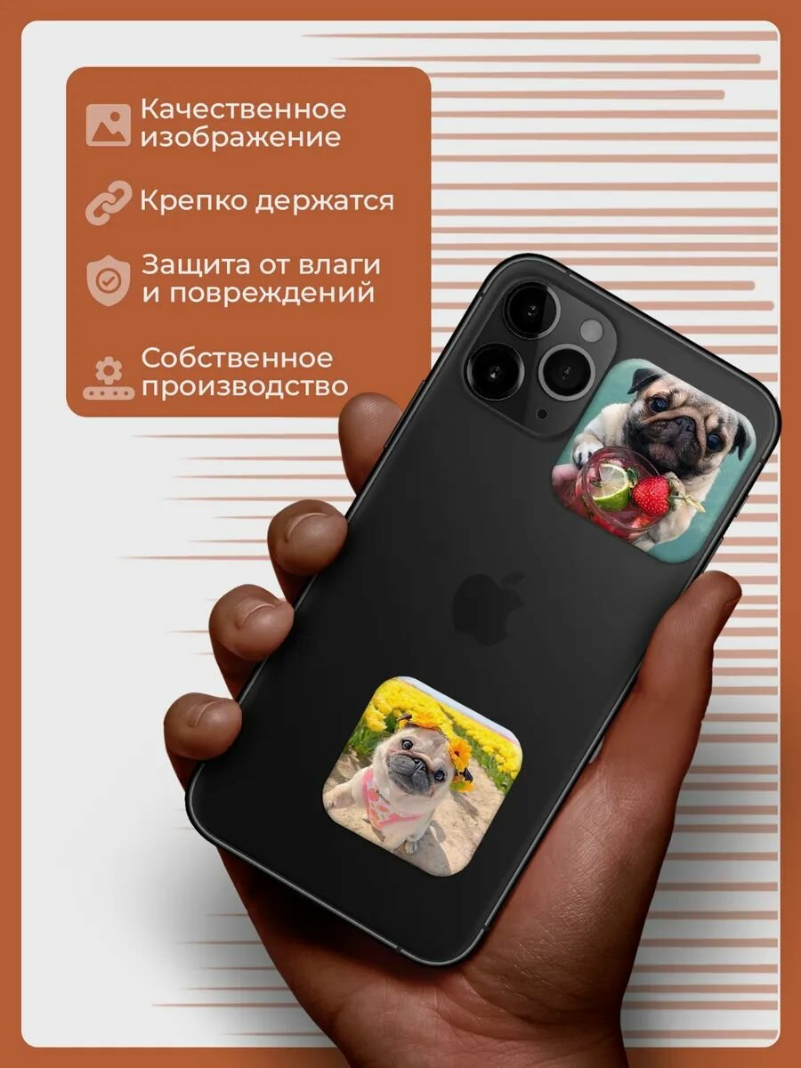 3D стикеры на телефон Мопс — фото 1