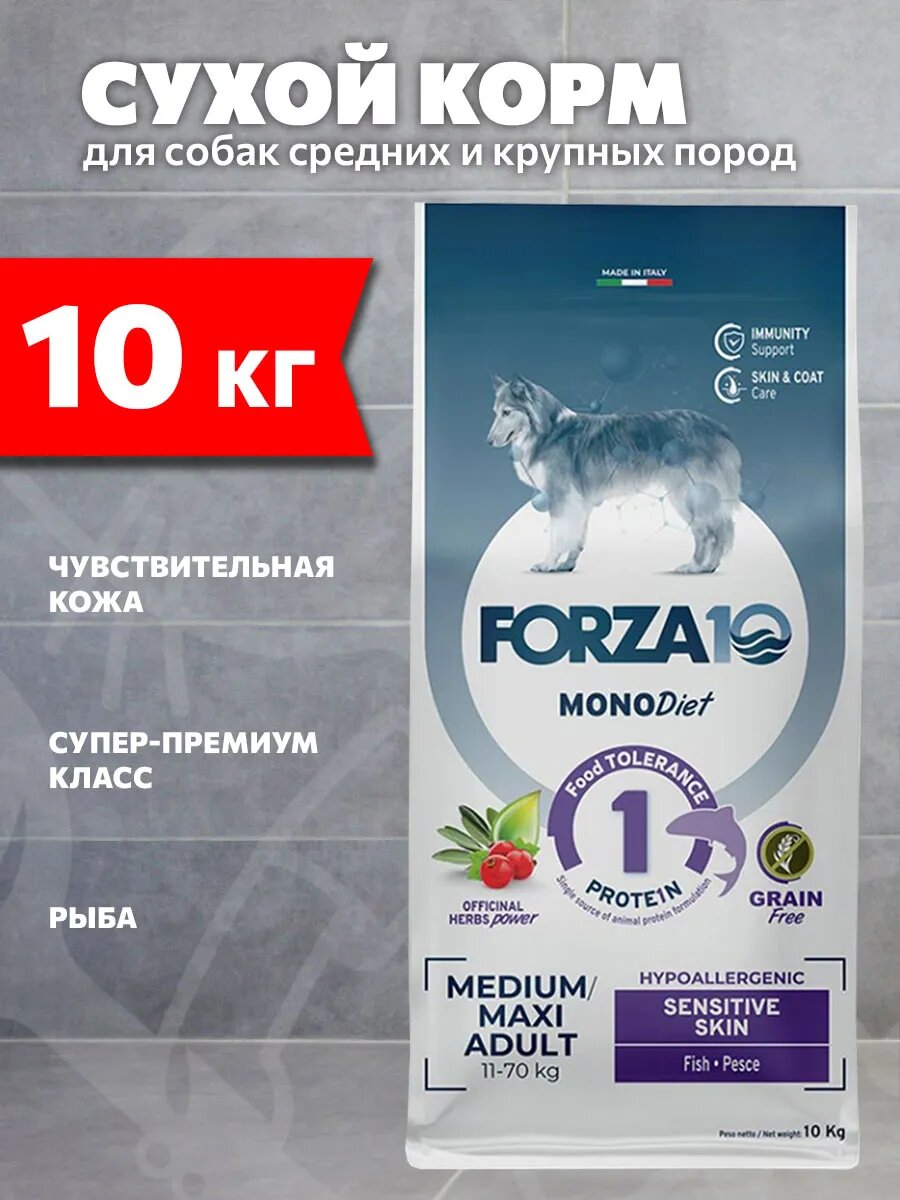 Корм сухой Forza10 Dog Medium Maxi Monodiet Grain Free для взрослых собак средних и крупных пород с рыбой, 10 кг