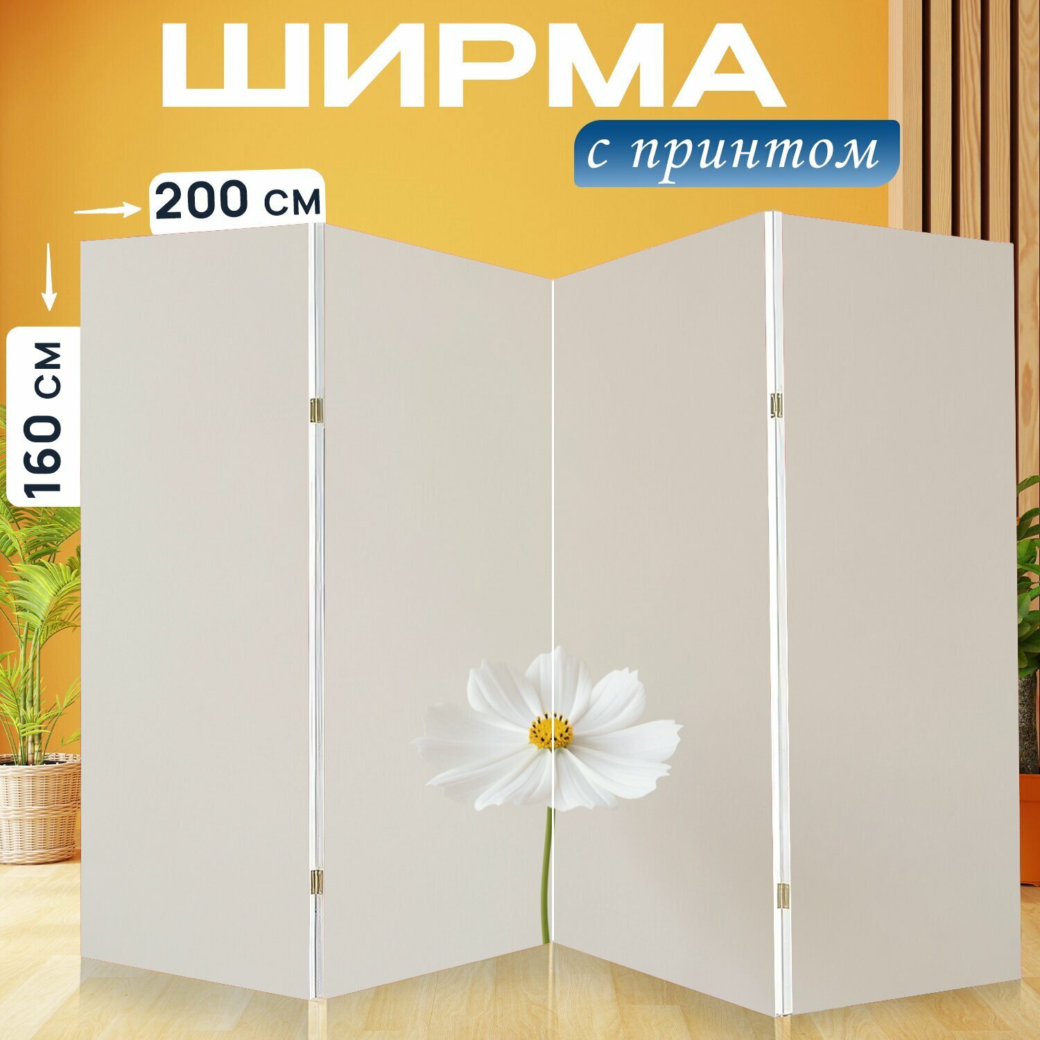 Ширма "Одинокий белый цветок на фоне. Нежная минималистичная композиция с белым полевым цветком и тонким." перегородка для зонирования комнаты с принтом 200x160 см. на холсте
