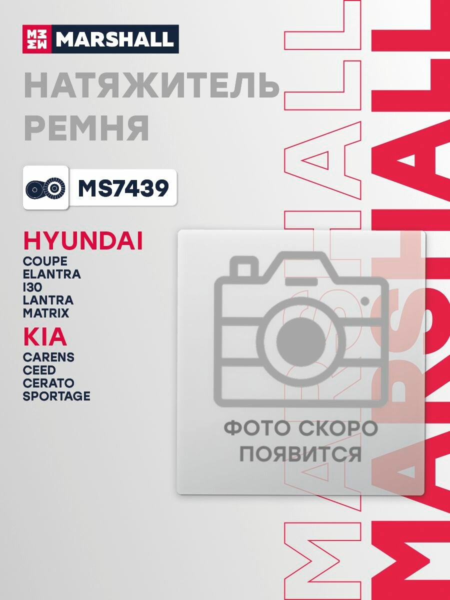 Натяжитель ремня Hyundai Хендай Elantra Элантра, Getz Гетц, i30, Matrix Матрикс, TRAJET, Tucson Туксон, Kia Киа CARENS, Ceed Сид, Cerato Церато, Sportage Спортейдж 2441023050