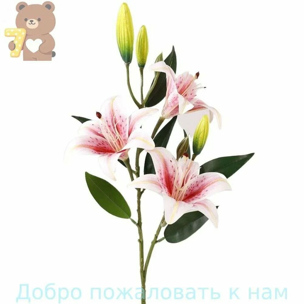 Стабилизированные цветы