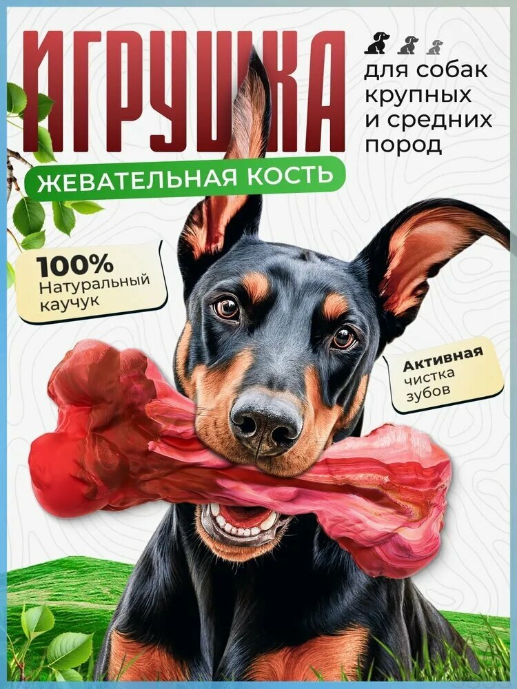 Прочная Жевательная Игрушка для собак кость для крупных и средних пород и щенков / грызак