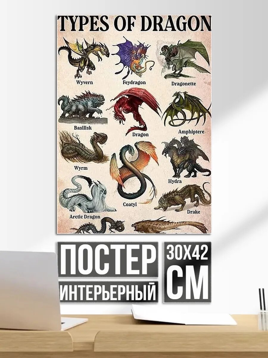 Плакат постер Виды драконов