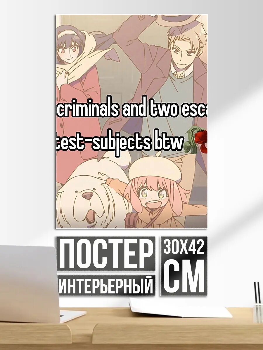 Плакат постер Семья шпионов