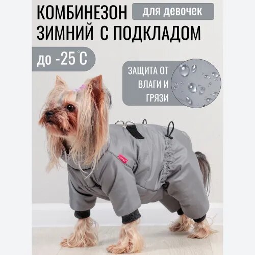Комбинезон зимний для собак мелких пород Yoriki Десант девочка M