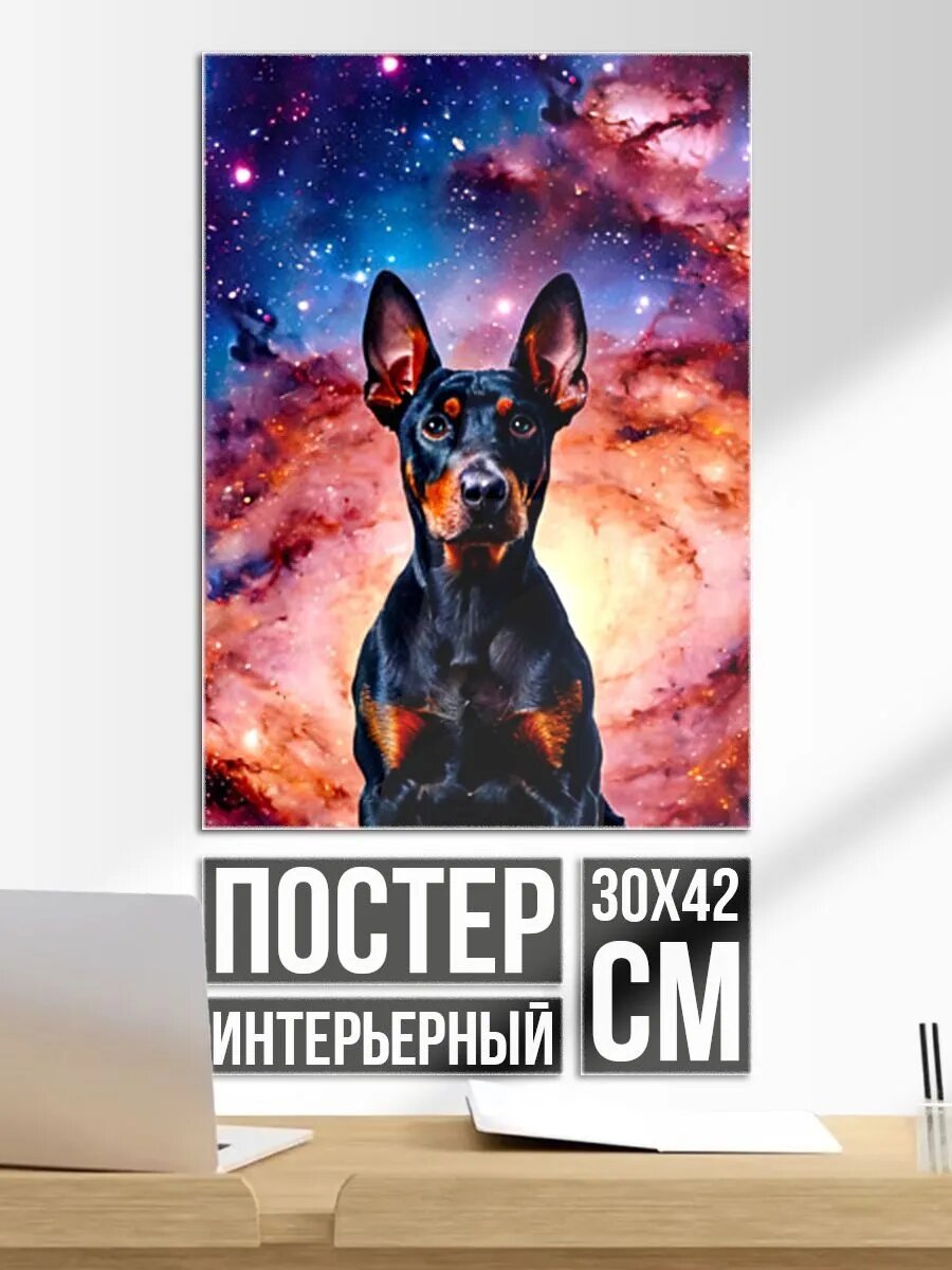 Постер на стену Доберман в космосе