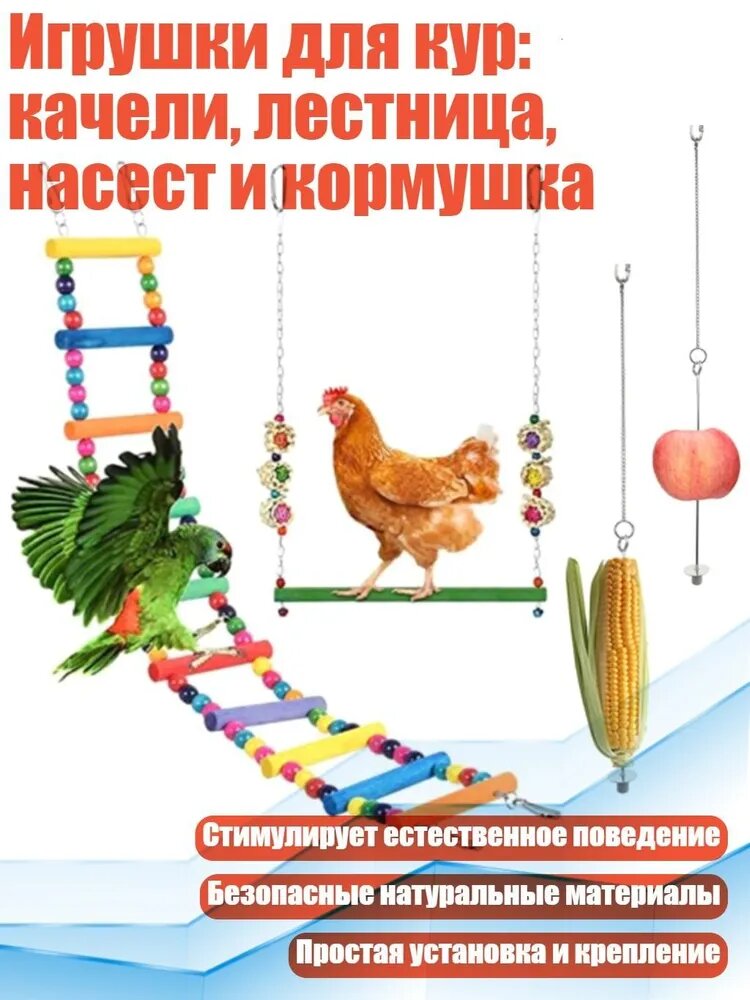 Игрушки для кур: качели, лестница, насест и кормушка