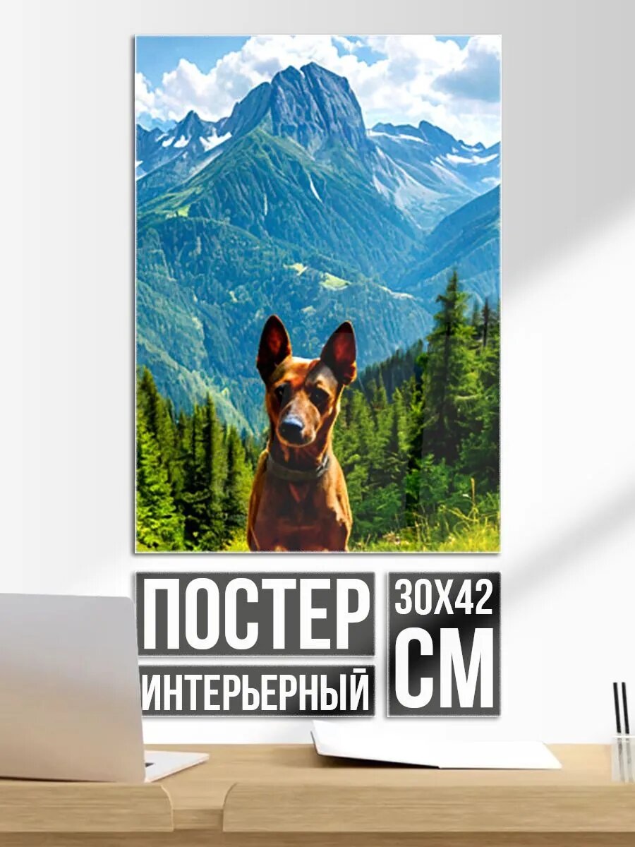 Постер на стену Пинчер летом в горах
