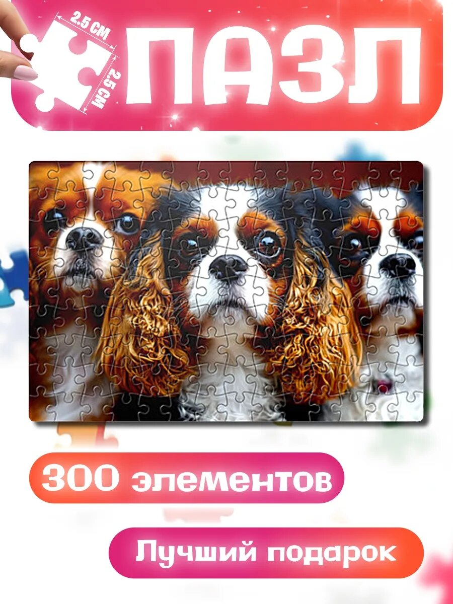 Пазлы для детей и взрослых Кавалер-кинг-чарльз-спаниель